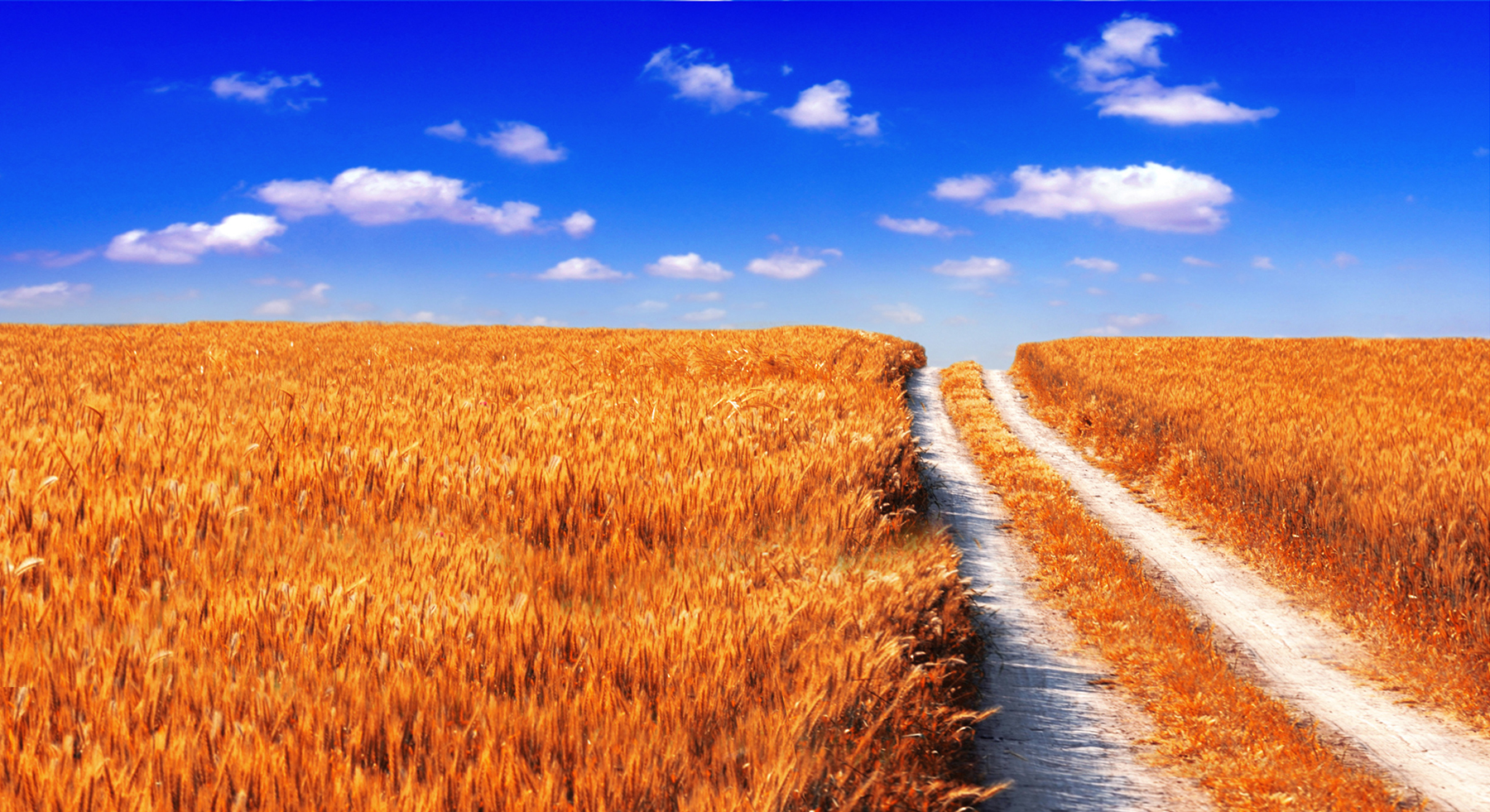 BestPath | Delivering market leading network solutions | Home